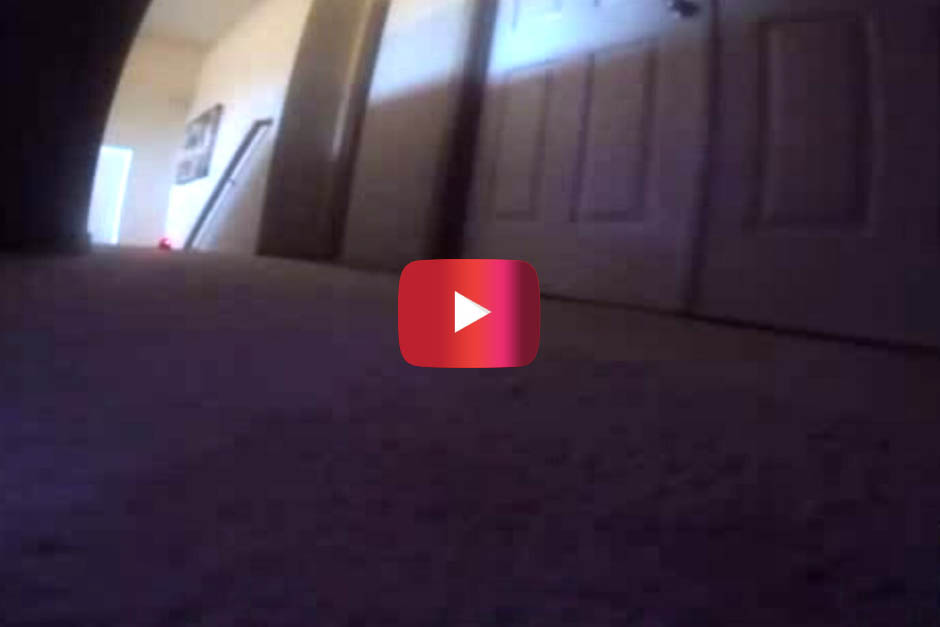 The Bothell Hell House: Poltergeist of Washington State Archives - Rare