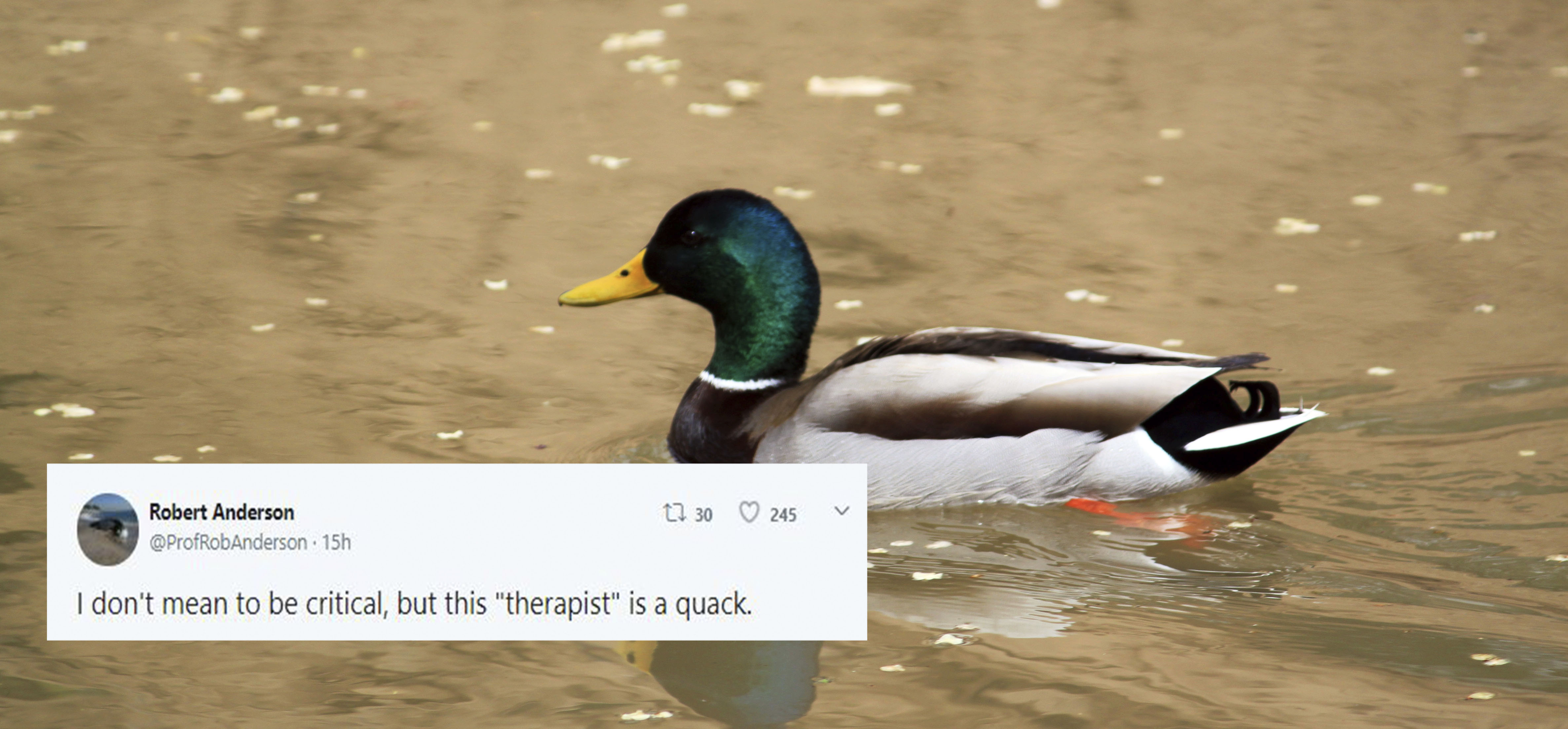 Therapy Archives - Rare