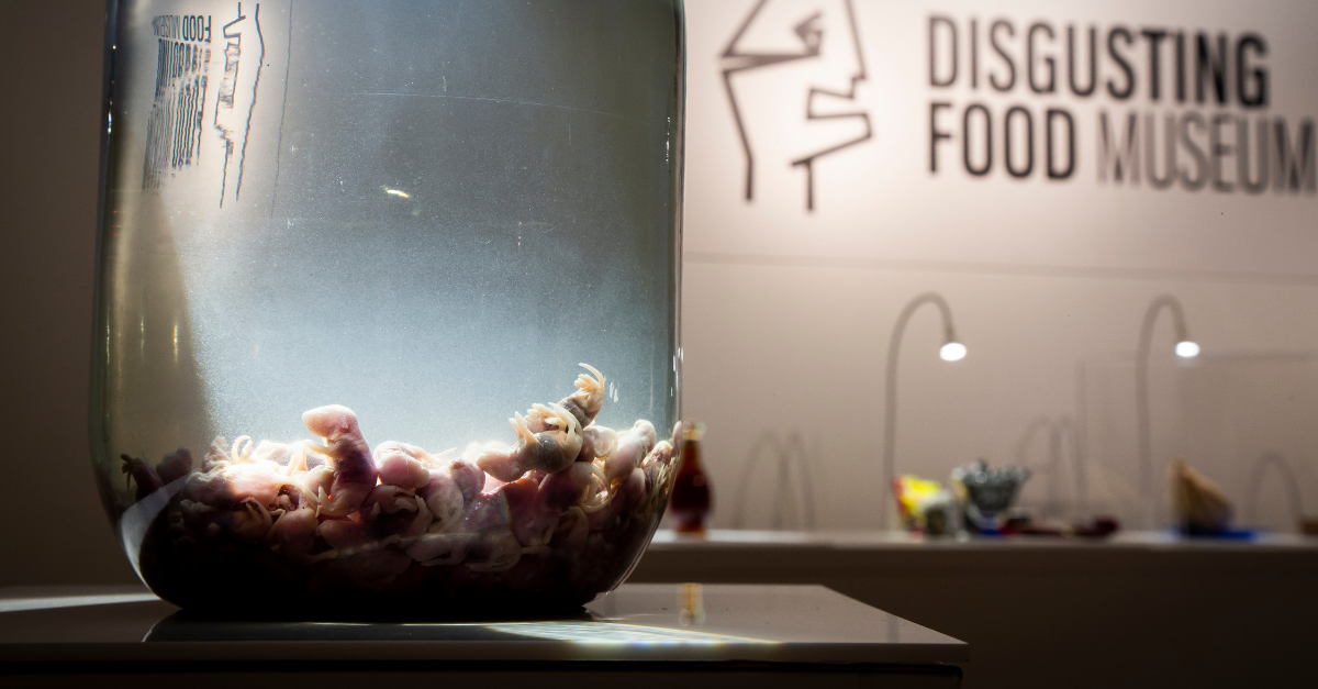 Disgusting Food Museum Archives - Rare