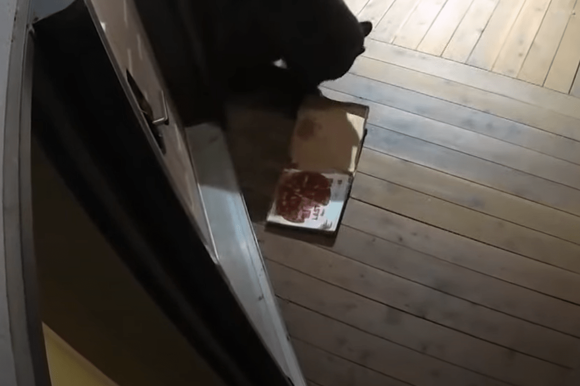 Bear Eating Pizza Archives - Rare
