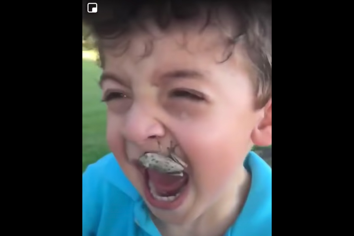 Boy with Frog Archives - Rare