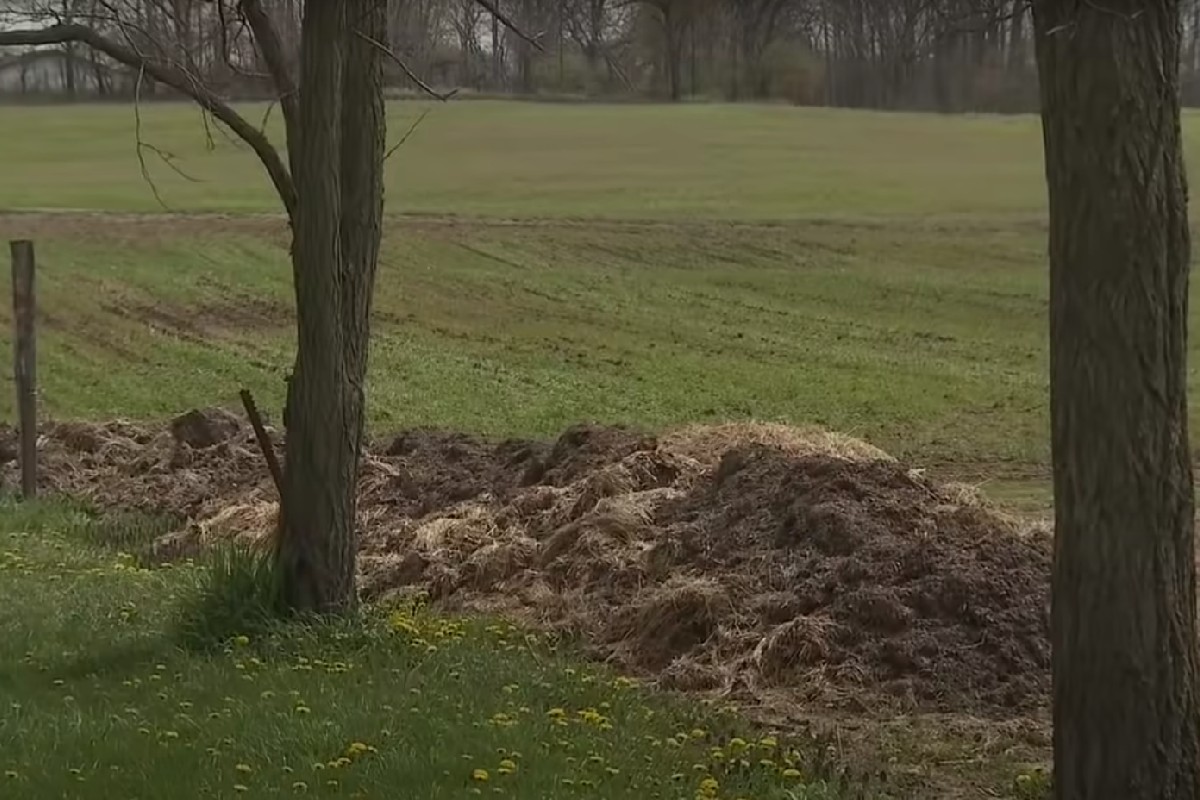 michigan man poop wall Archives - Rare
