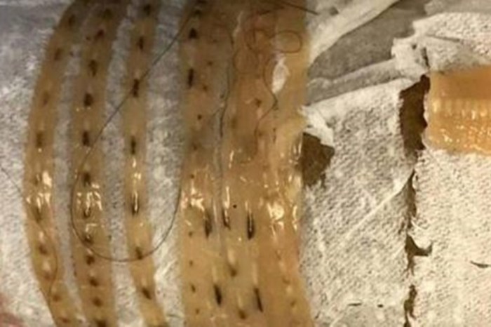 Across the U.S.A. | Rare