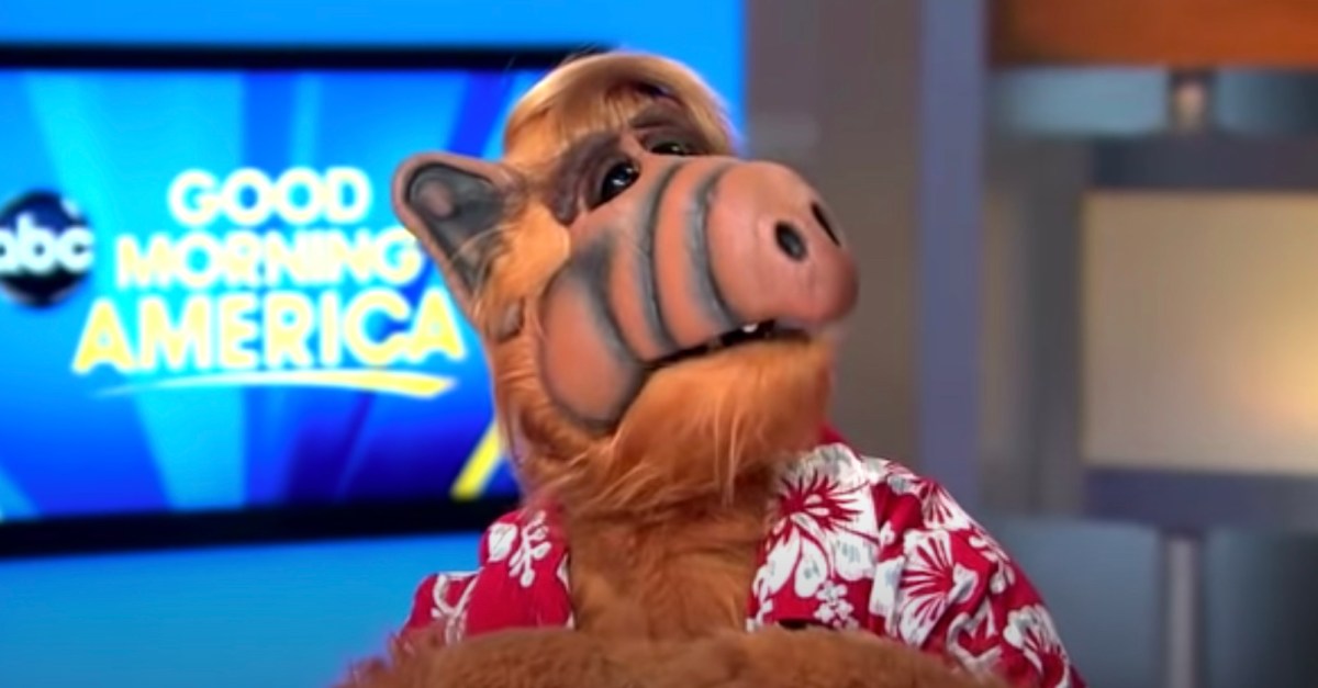 Where Are They Now? The Cast of ALF | Rare