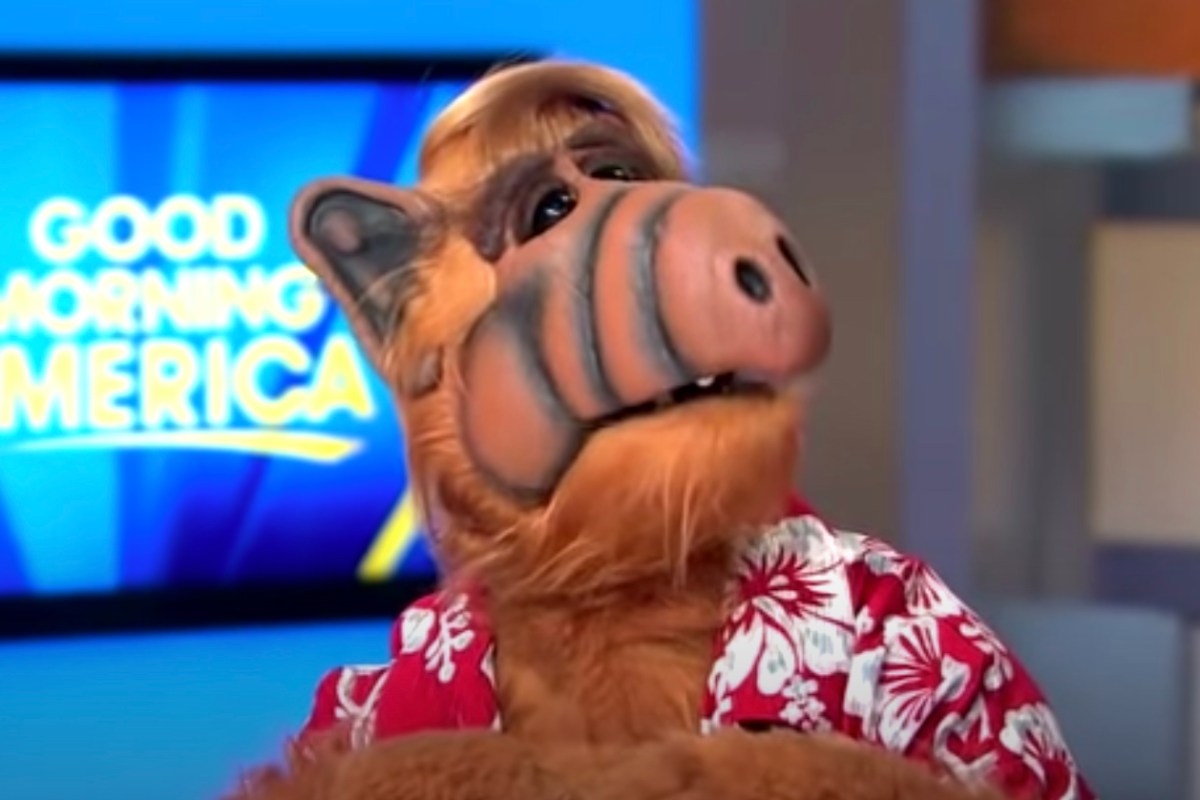 Where Are They Now? The Cast of ALF | Rare