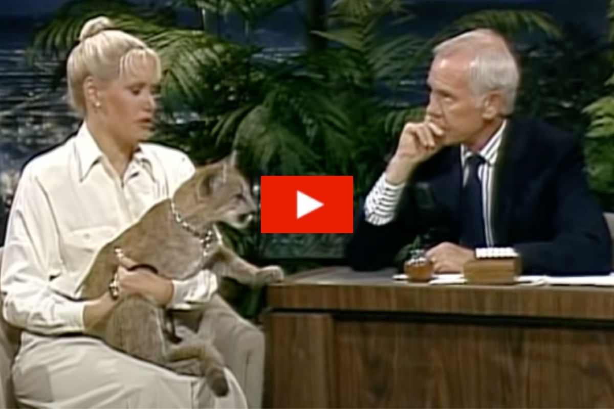 Baby Lion Menacingly Stared Down Johnny Carson on “The Tonight Show” | Rare